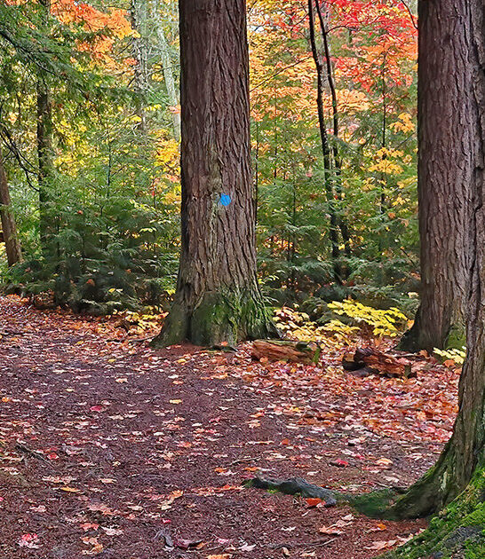 michigan trail hidden waterfall ftr