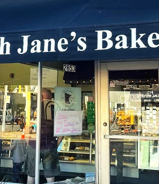 minnesota legendary apple fritters ftr