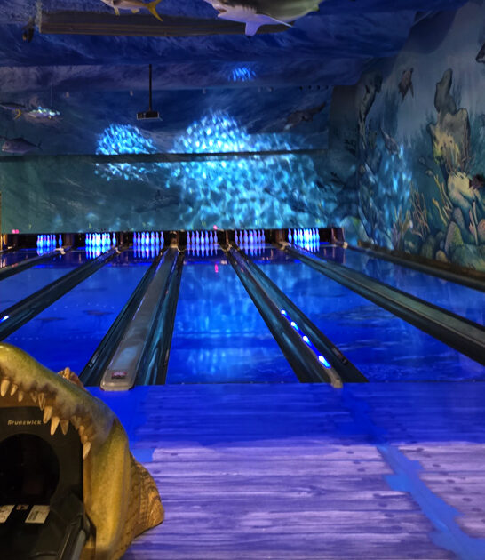 ocean themed restaurant illinois ftr