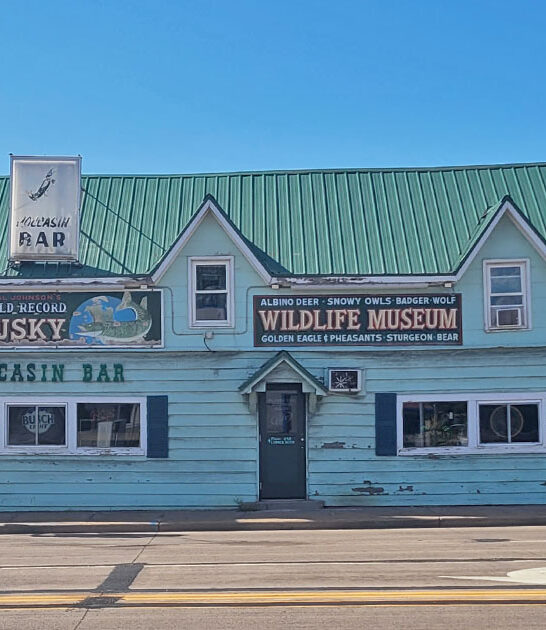 peculiar taxidermy museum wisconsin ftr