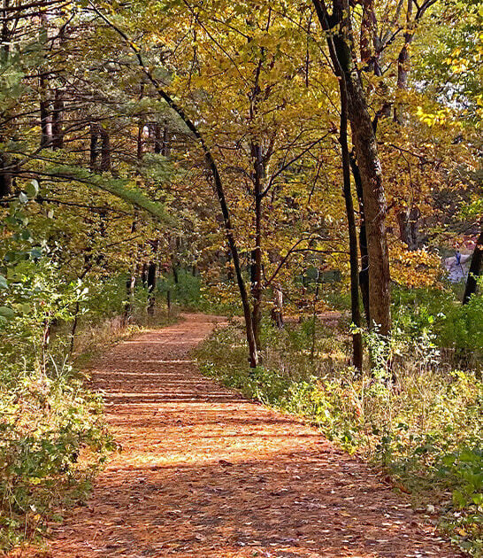 picturesque hike wisconsin ftr