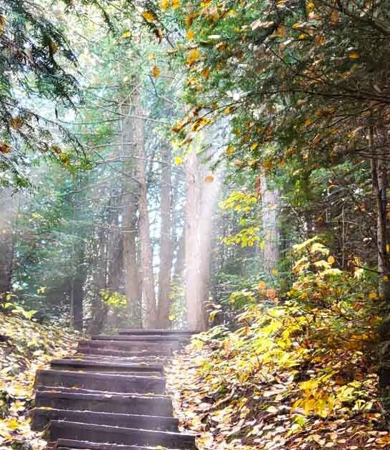 picturesque short hike minnesota ftr
