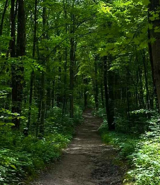 picturesque trail beach wisconsin ftr