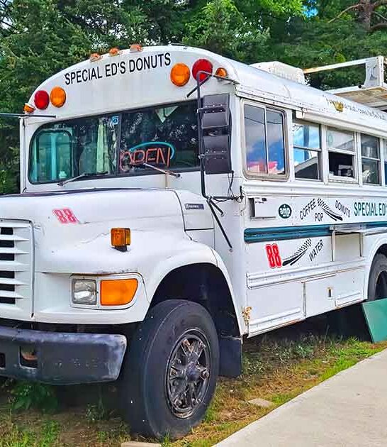 quirky donut shop michigan ftr