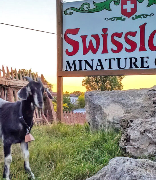 quirky golf course wisconsin ftr