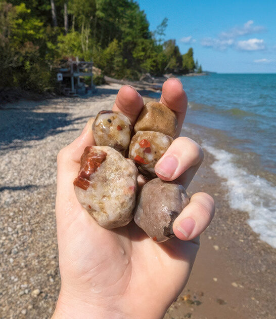 rocks fossils beach michigan ftr