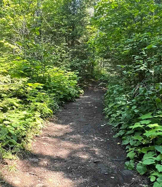 scenic short trail minnesota ftr