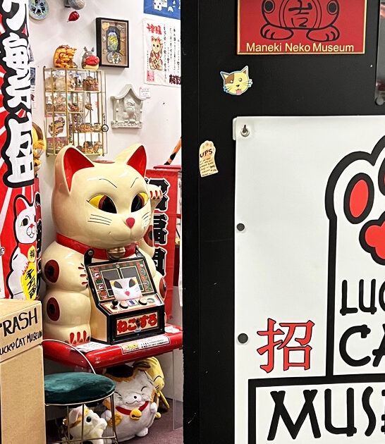 strange fascinating museum ohio ftr