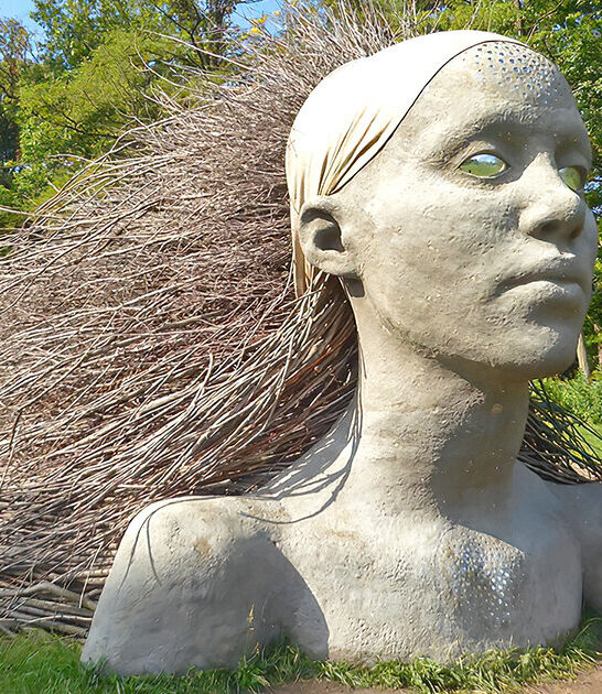 stunning botanical garden illinois ftr