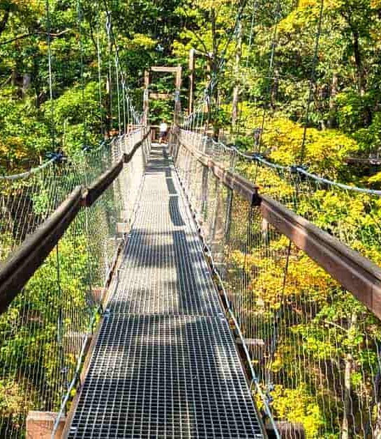 stunning canopy walk ohio ftr