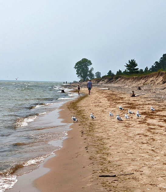 stunning wisconsin lake beach ftr