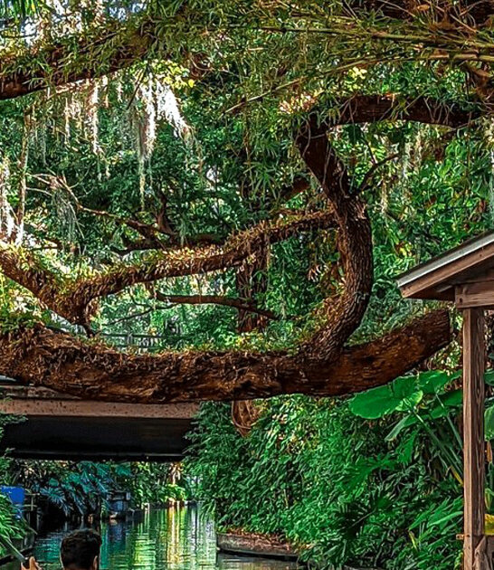 surreal enchanting canal florida ftr