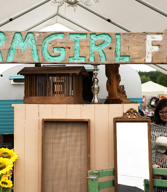 thrifty flea market michigan ftr