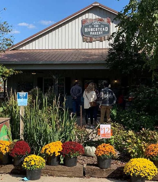 tiny amish bakery illinois ftr
