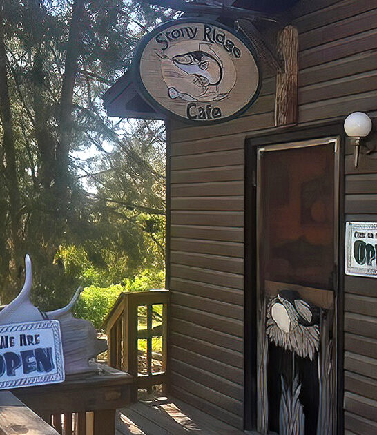 tiny cafe minnesota ftr