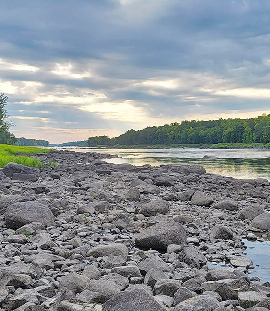 tiny mighty park minnesota ftr