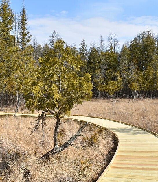 tiny nature park ohio ftr