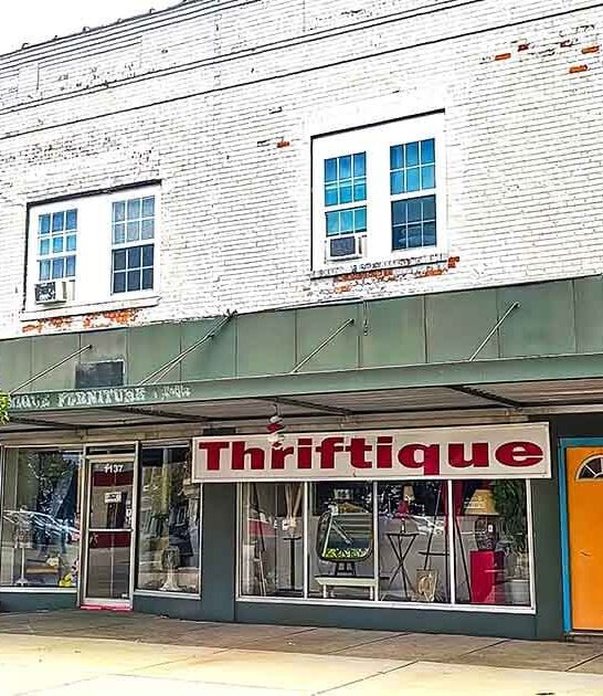 underrated thrift store michigan ftr