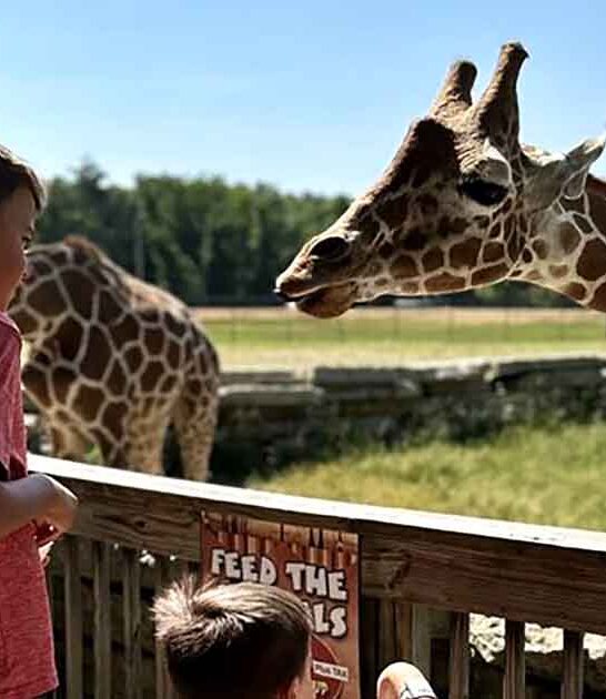 unique animal park wisconsin ftr