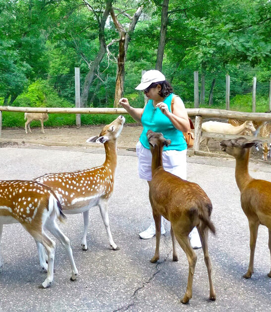 unique petting zoo wisconsin ftr