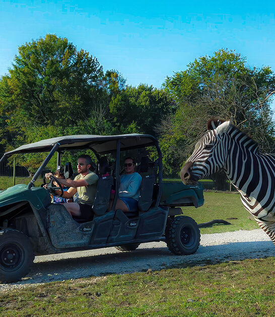 unique safari park illinois ftr