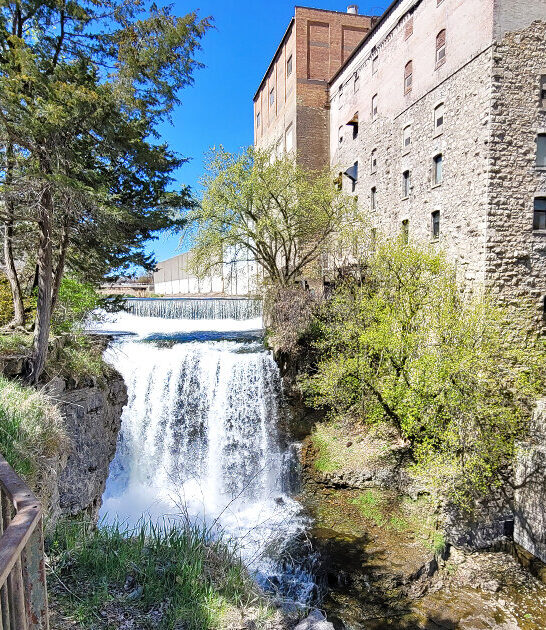 urban park minnesota ftr