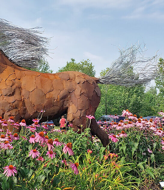 whimsical art garden wisconsin ftr