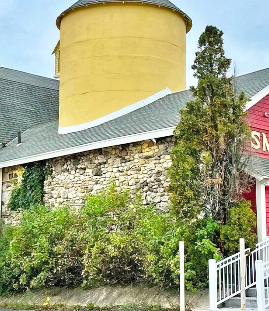 whimsical toy store wisconsin ftr