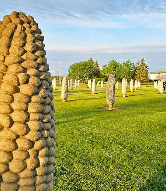 wonderful corn park ohio ftr