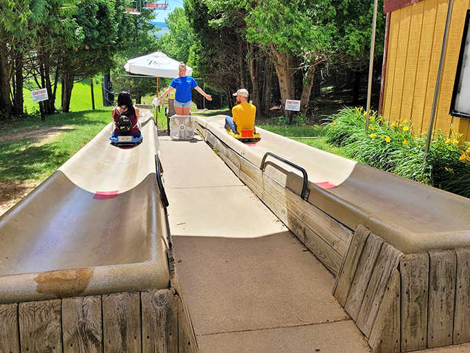 Three daredevils ready for liftoff on the Alpine Slide's starting platform &ndash; gravity's about to become their best friend.
