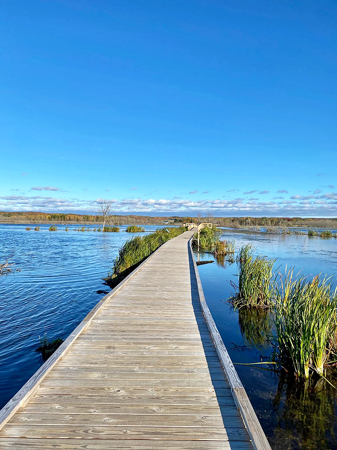 A wooden pathway to paradise &ndash; Arcadia Marsh's boardwalk stretches into the distance, promising adventure with every step.