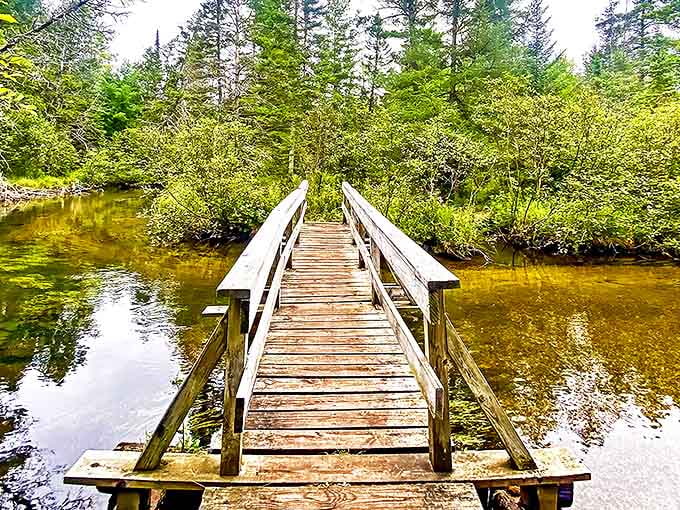 A rustic wooden bridge spans the gentle AuSable River, inviting hikers to cross into a world where time slows and worries fade away.