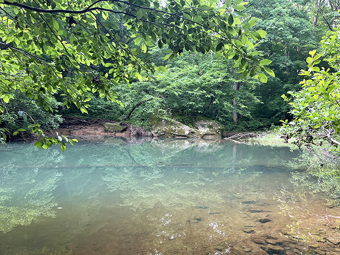 Nature's own infinity pool: crystal-clear turquoise waters reflect the lush canopy of Shawnee National Forest.