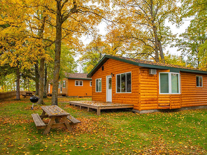 Rustic luxury meets lakeside charm at Big Rock Resort, where honey-colored log cabins nestle among autumn-painted trees like something from a storybook.