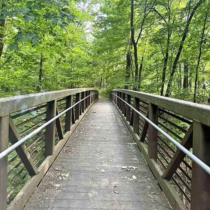 The bridge to adventure: where Detweiller Park's manicured paths give way to wilderness wonders. Nature's version of a welcome mat.