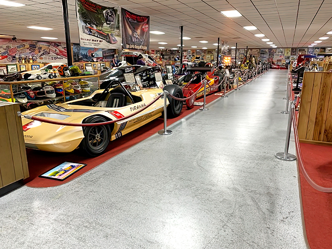 A gleaming lineup of history-making dragsters stretches into the distance, like a high-octane time machine ready to transport you through racing's golden era.