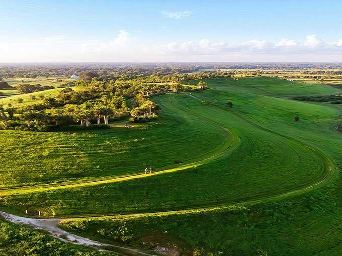 Sweeping emerald landscapes unfold at Celery Fields, where rolling hills create a rare elevated perspective in famously flat Florida.