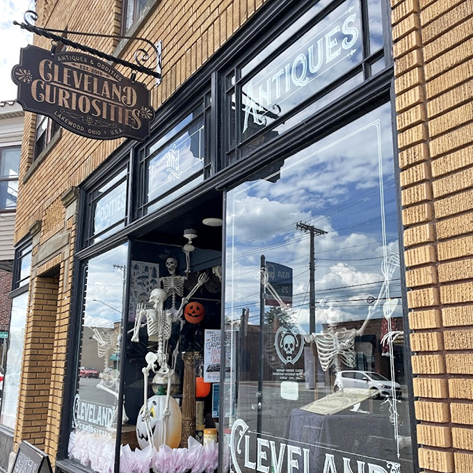 Exterior: The unassuming brick facade of Cleveland Curiosities belies the wonderfully weird world waiting inside. That sign isn't kidding about the oddities!