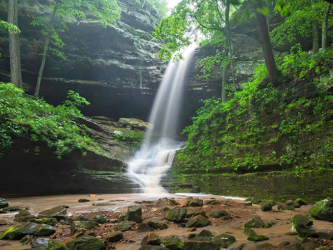 Ferne Clyffe Waterfall: Experience the magic of the main falls, where lush greenery and rushing water create a peaceful, hidden woodland sanctuary.