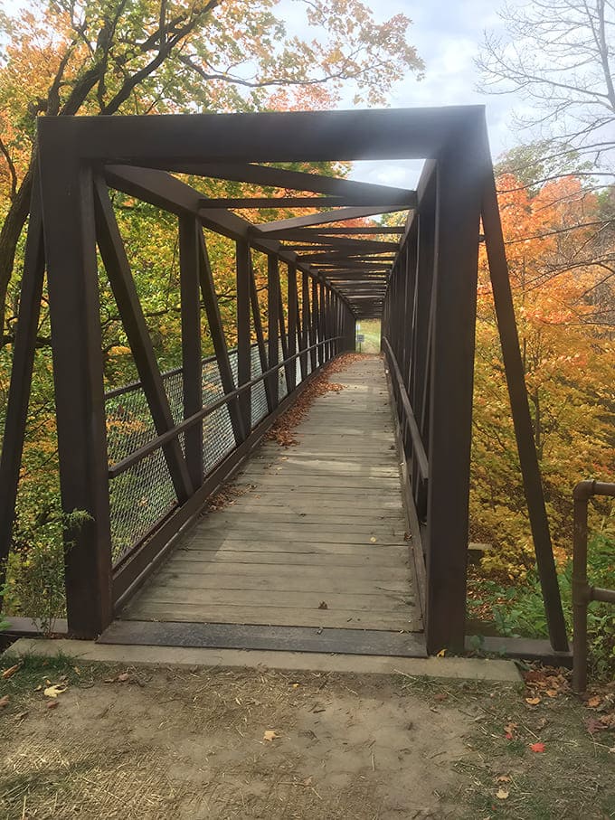 That tunnel-like bridge beckons you forward into autumn's golden embrace, promising adventures that don't require a passport or even a particularly ambitious fitness plan.