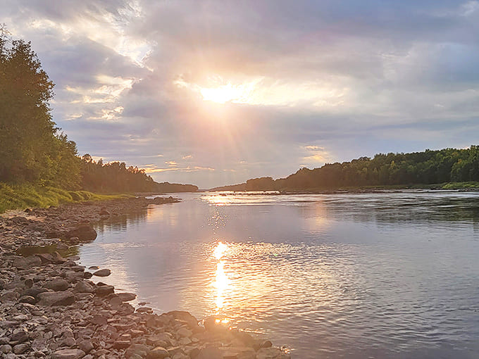 Sunset paints the Rainy River gold at Franz Jevne State Park, where Minnesota meets Canada in a handshake of shimmering water.