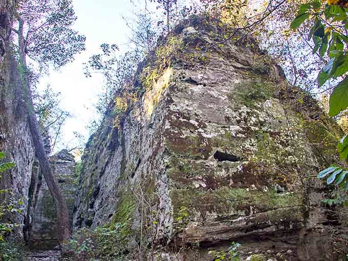 Ancient stone sentinels stand guard along Giant City Nature Trail, their weathered faces telling stories older than human memory.
