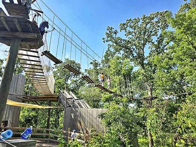 Suspended between earth and sky, this treetop adventure course transforms everyday folks into canopy-dwelling daredevils with just a harness and a dream.