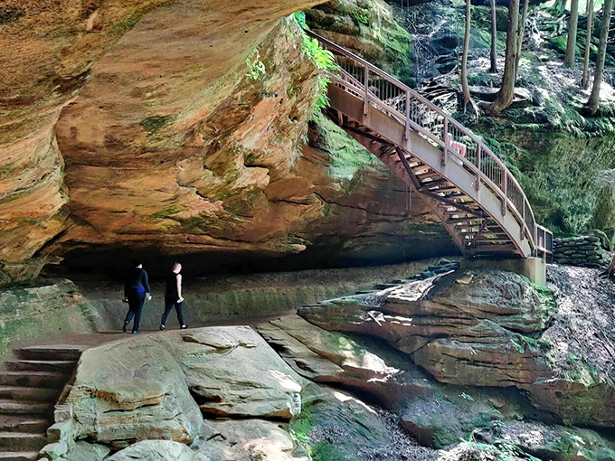 Nature's grand balcony: The Gorge Overlook Trail hugs ancient sandstone cliffs, offering hikers a thrilling perspective of the chasm below. Who needs Netflix when you've got this view?