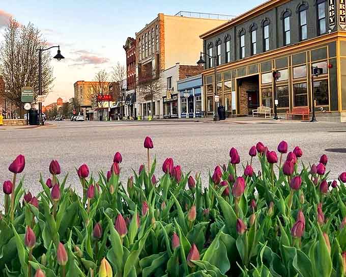 Spring tulips frame downtown Grand Haven's historic architecture, where every street corner looks like it's auditioning for a postcard.