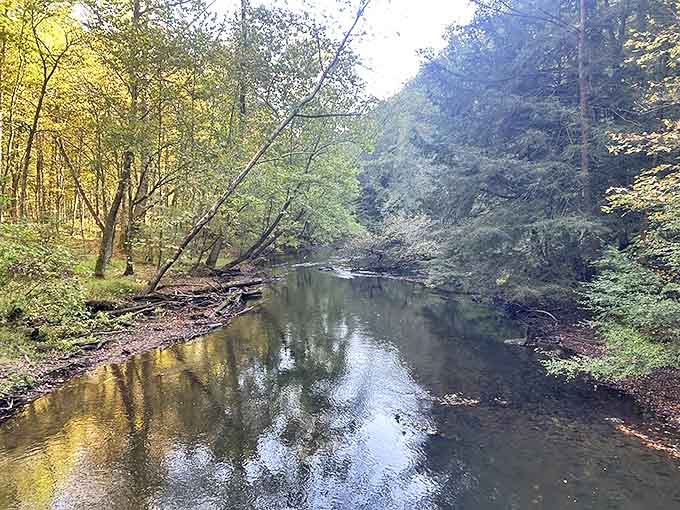 The serene waters of Clear Fork River reflect autumn's golden touch, creating nature's perfect mirror amid towering hemlocks.