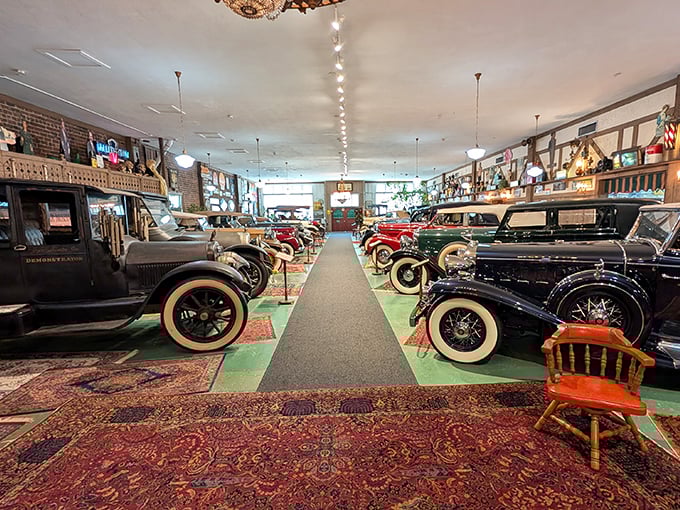 Step into automotive heaven where classic beauties rest on Oriental rugs like mechanical royalty holding court in their chrome-trimmed kingdom.