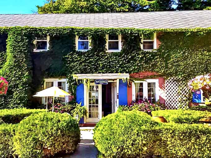The ivy-embraced façade of Joie De Vie Antiques stands like a French countryside transplant in Petoskey, complete with vibrant blue trim and welcoming entrance.