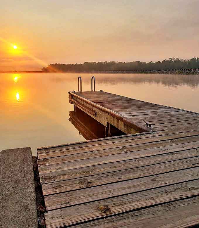 Nature's daily masterpiece unfolds at Lake White, where golden light transforms ordinary water into liquid amber magic.