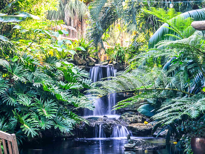 Marie Selby Botanical Gardens: A lush tropical paradise where cascading waterfalls meet exotic orchids, creating a botanical wonderland right on Sarasota Bay's shoreline.